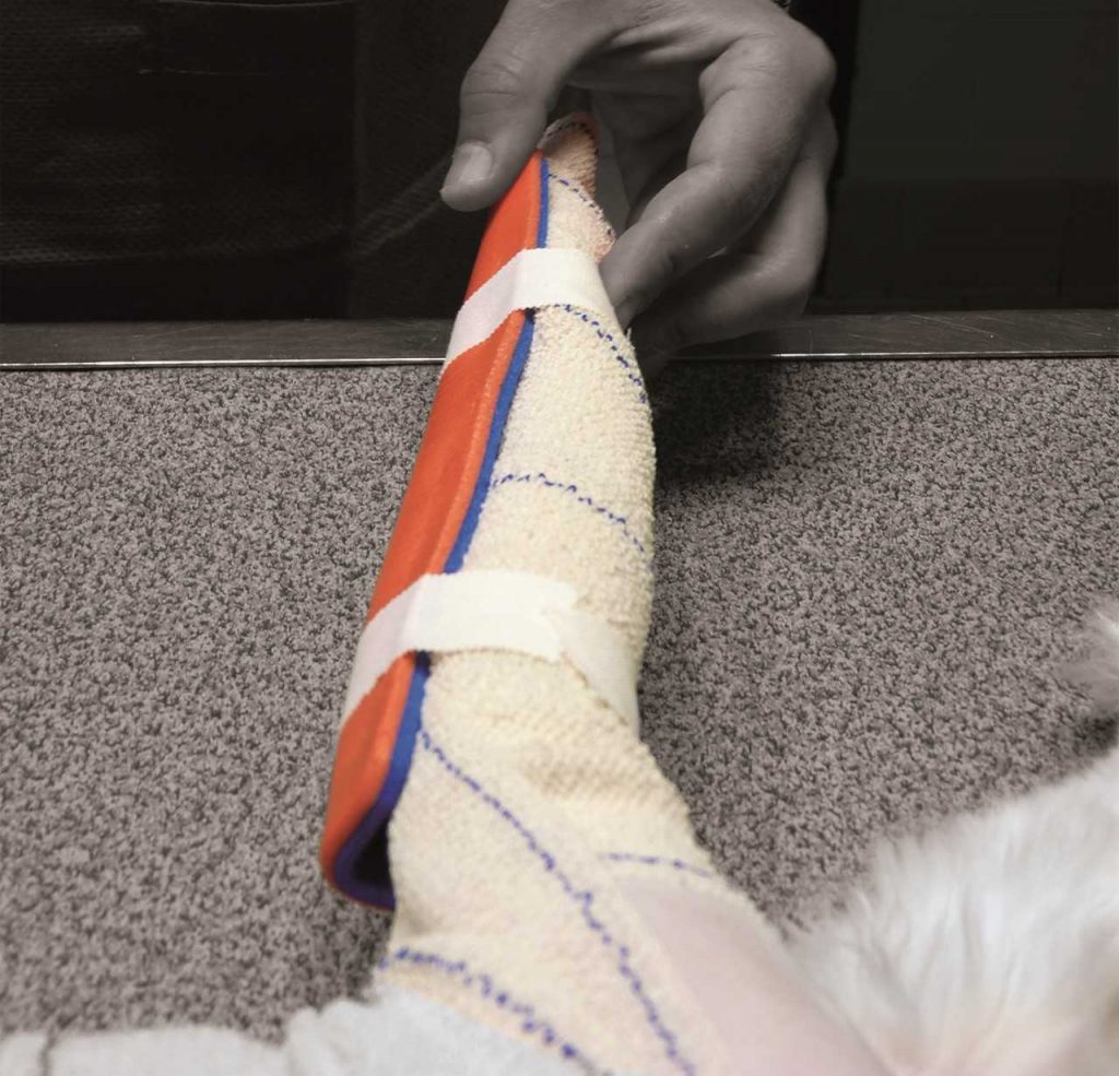 Soft Roll Splints – Rhone Ma Holdings Berhad