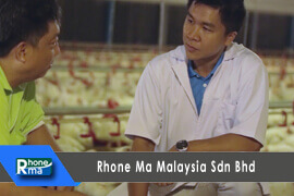 Rhone Ma Holdings Berhad – An end-to-end animal health solution provider