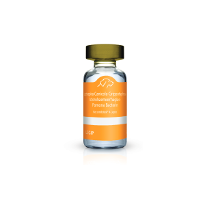 Recombitek® 4 Lepto – Rhone Ma Holdings Berhad